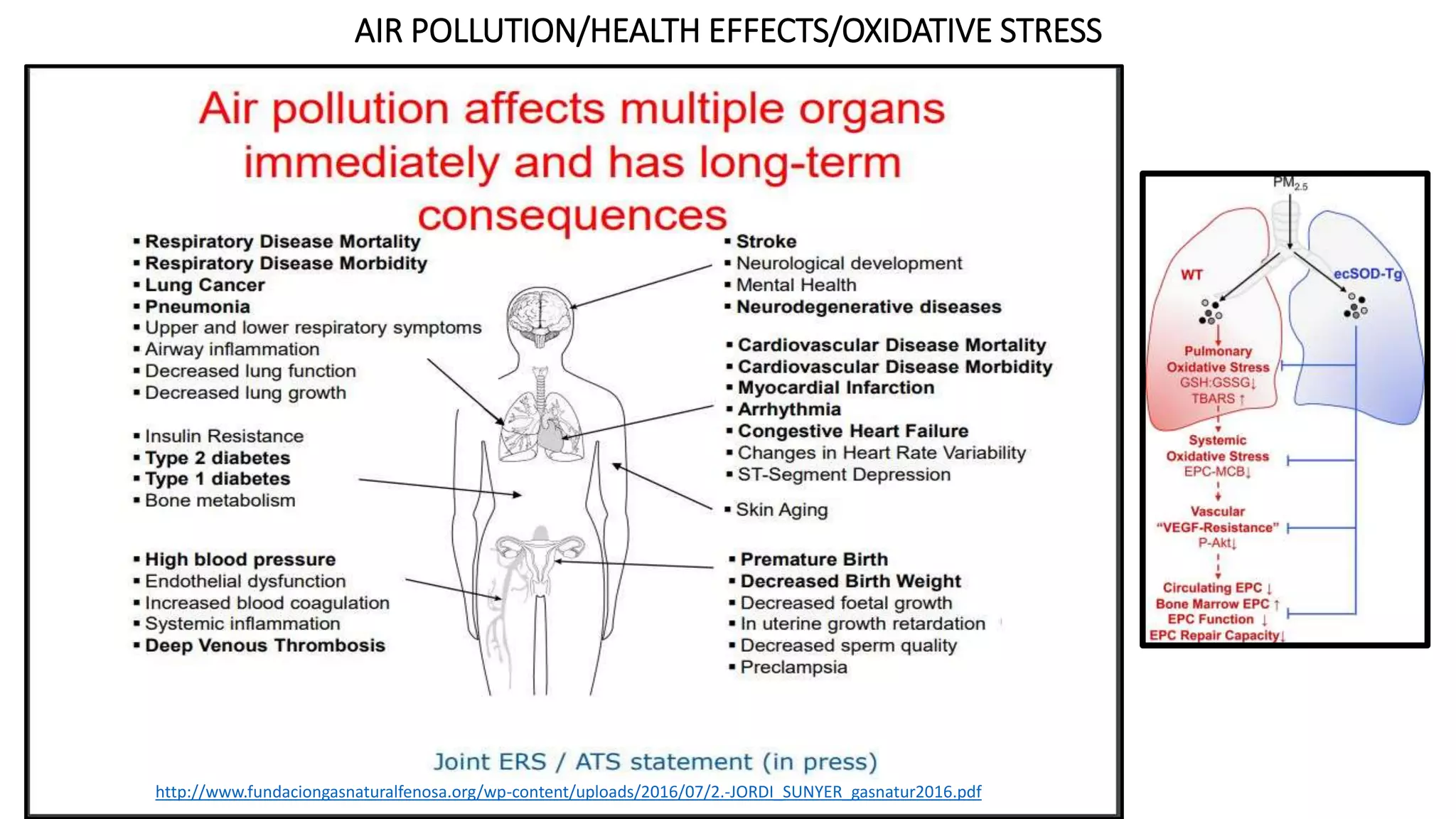 Understanding the Operational Environment | PPTX
