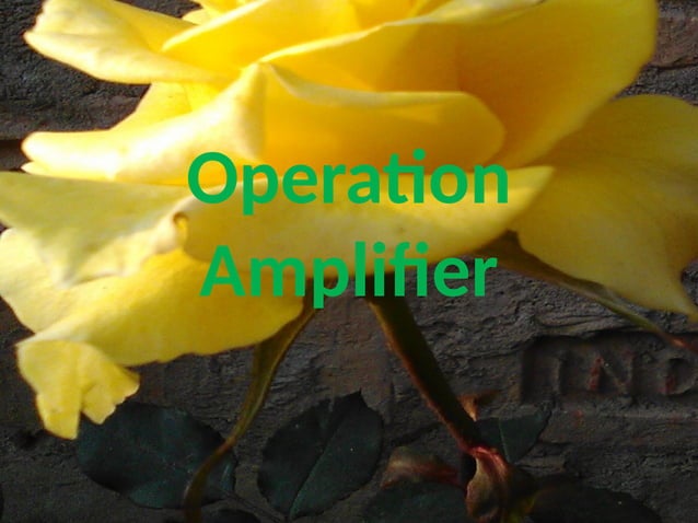Operation of the human body is Amplifier.pptx