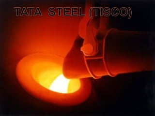 Tata Steel-ppt | PPT