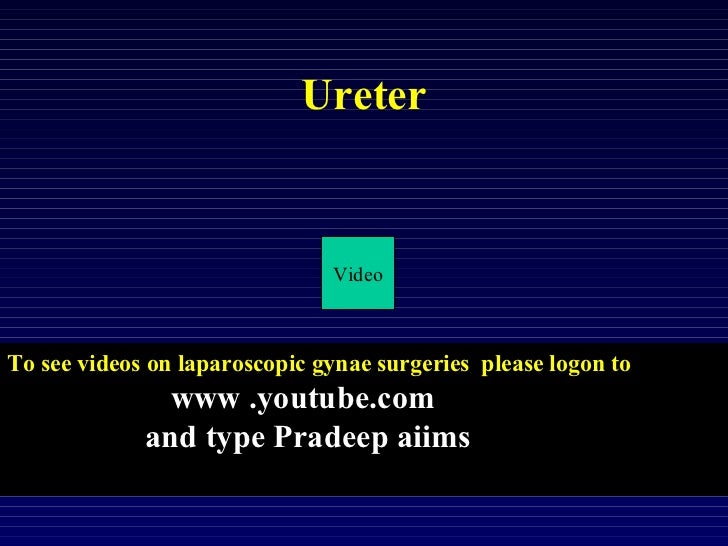 Uterosacral Ligament Plication