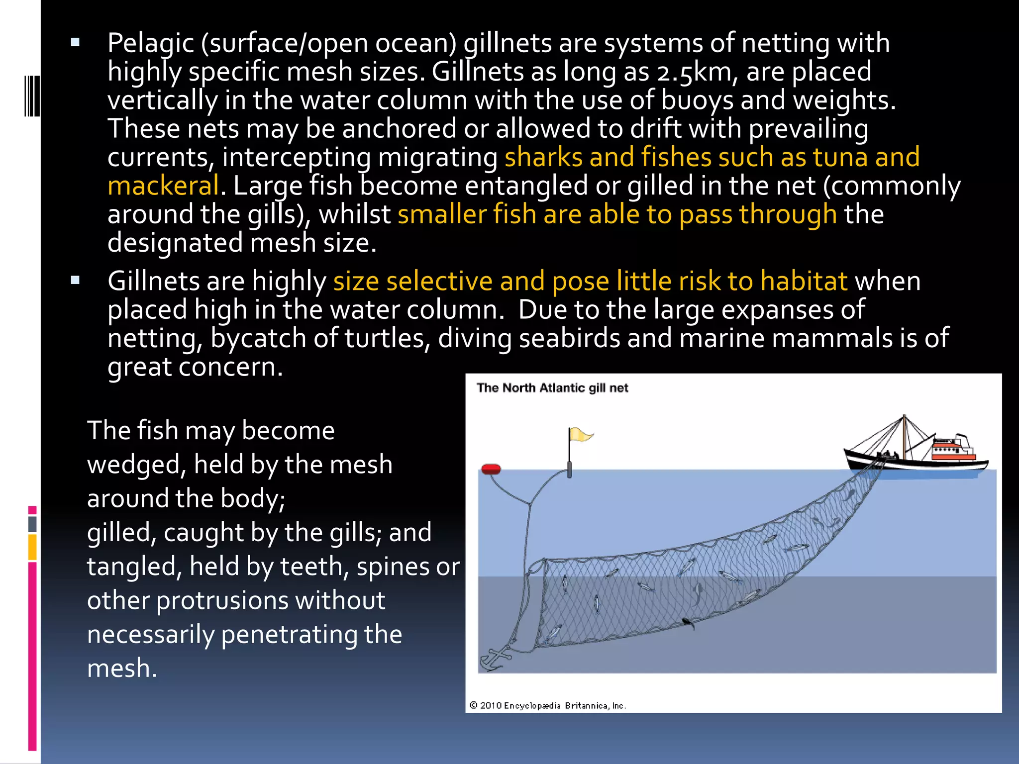 Operations of Fishing Gear | PDF