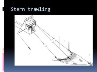 Operations of Fishing Gear | PDF