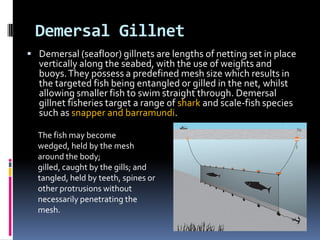 Operations of Fishing Gear | PDF