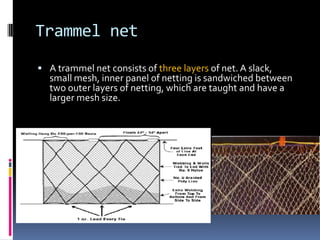Operations of Fishing Gear | PDF