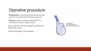 OPERATIVES #02 eversion of sac & circumcision.pptx