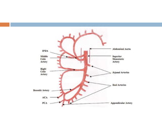 Operative steps in open appendicectomy | PPTX