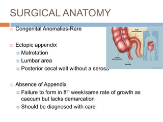 Operative steps in open appendicectomy | PPT