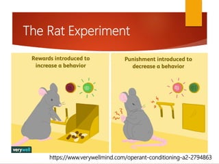 Operant Conditioning Theory | PPTX