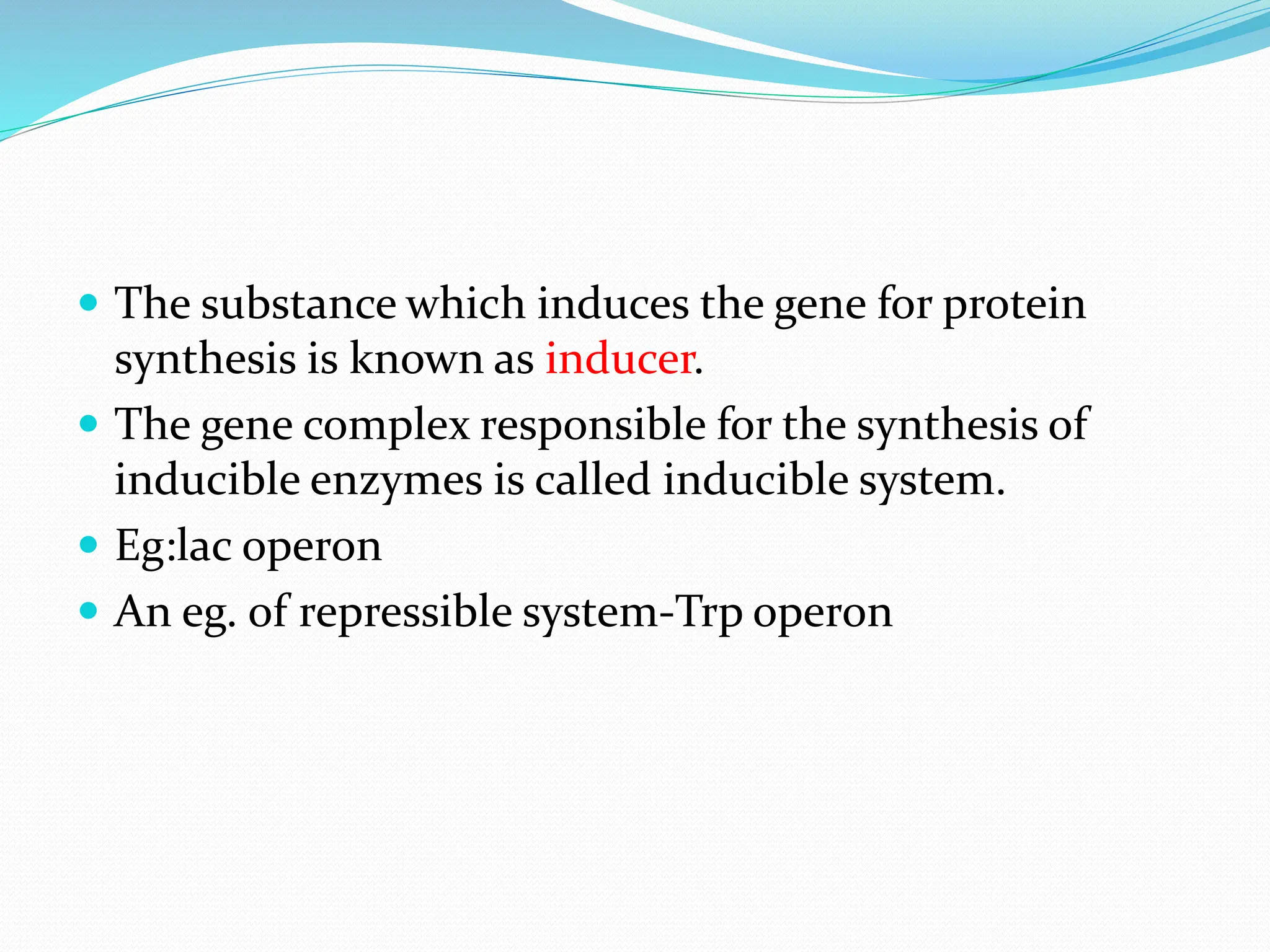 gene regulation in prokaryotes. Basics description of what is positive ...
