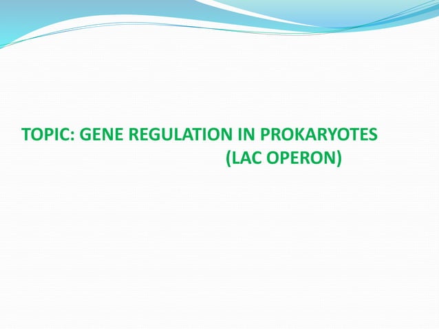 gene regulation in prokaryotes. Basics description of what is positive ...