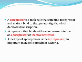 gene regulation in prokaryotes. Basics description of what is positive ...