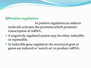 gene regulation in prokaryotes. Basics description of what is positive ...