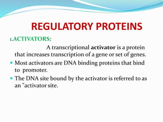 gene regulation in prokaryotes. Basics description of what is positive ...