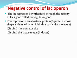 gene regulation in prokaryotes. Basics description of what is positive ...