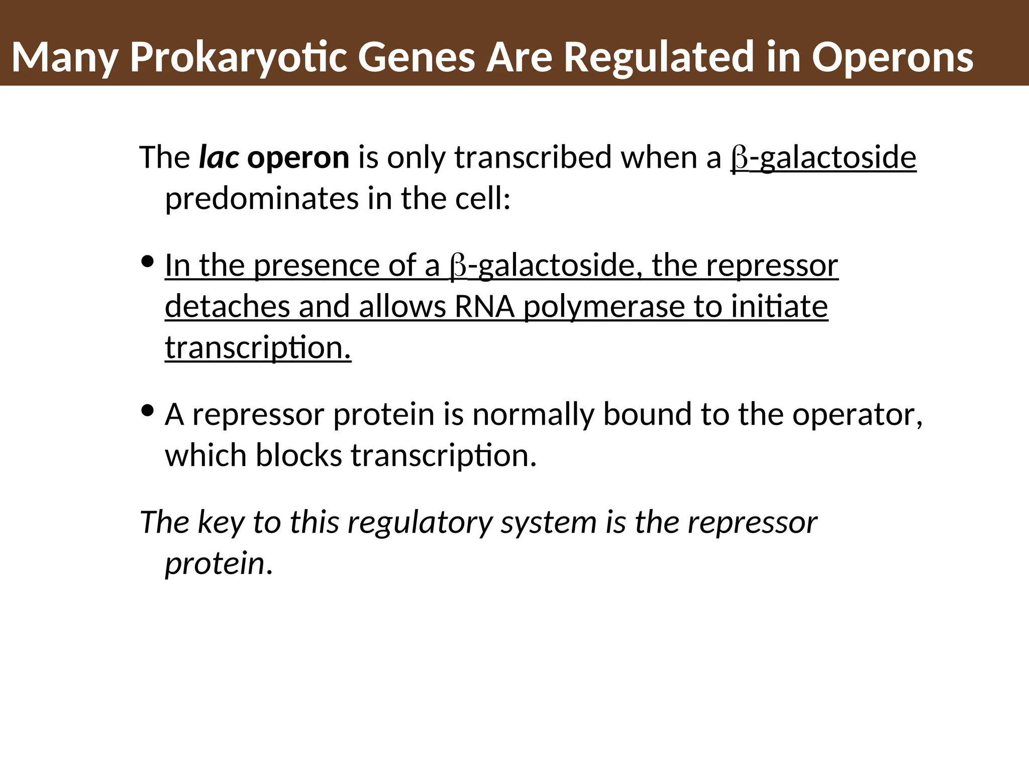 Lac operon, trp operon, Operon, structure and regulation | PPT