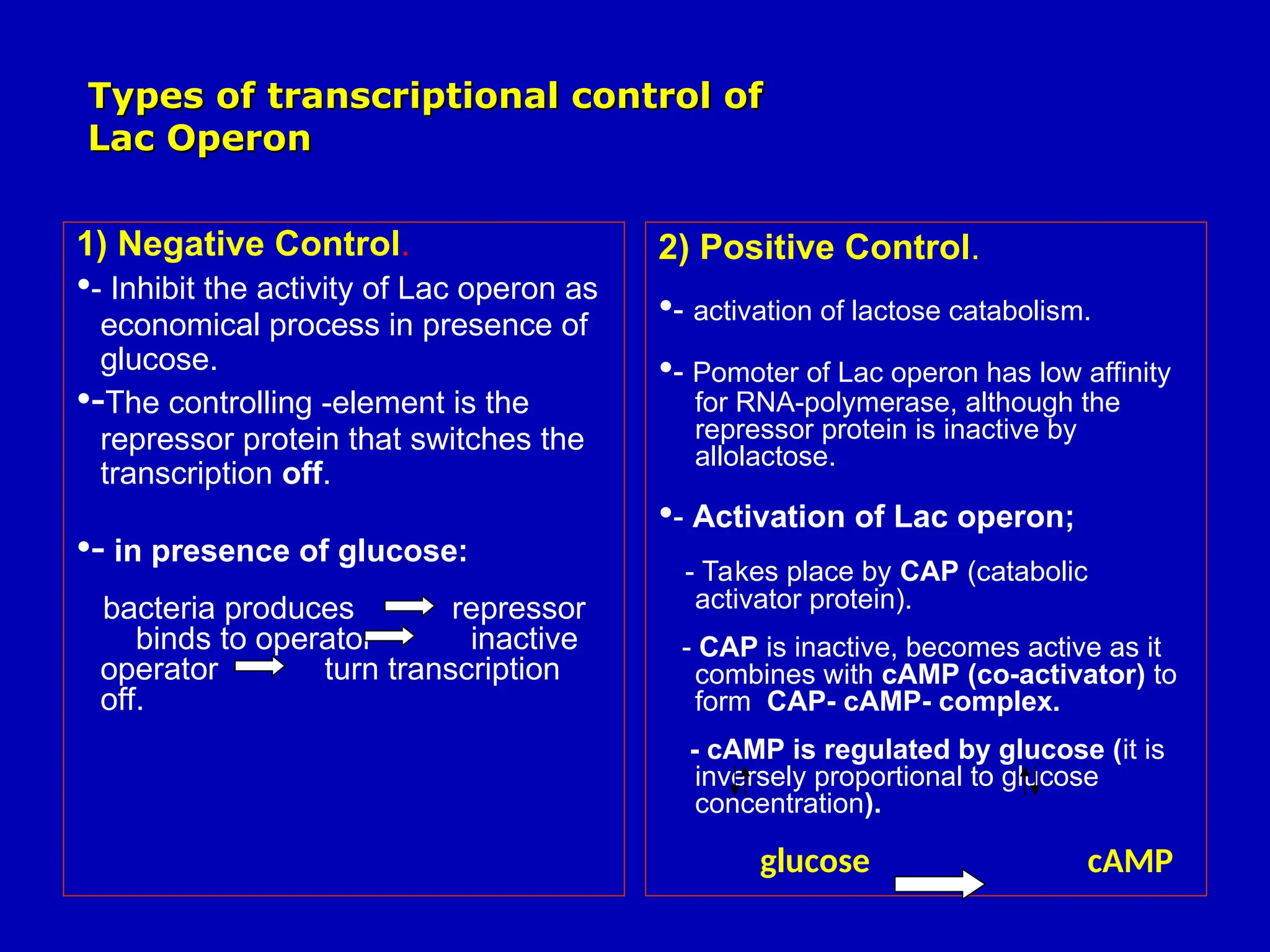 Lac operon, trp operon, Operon, structure and regulation | PPT