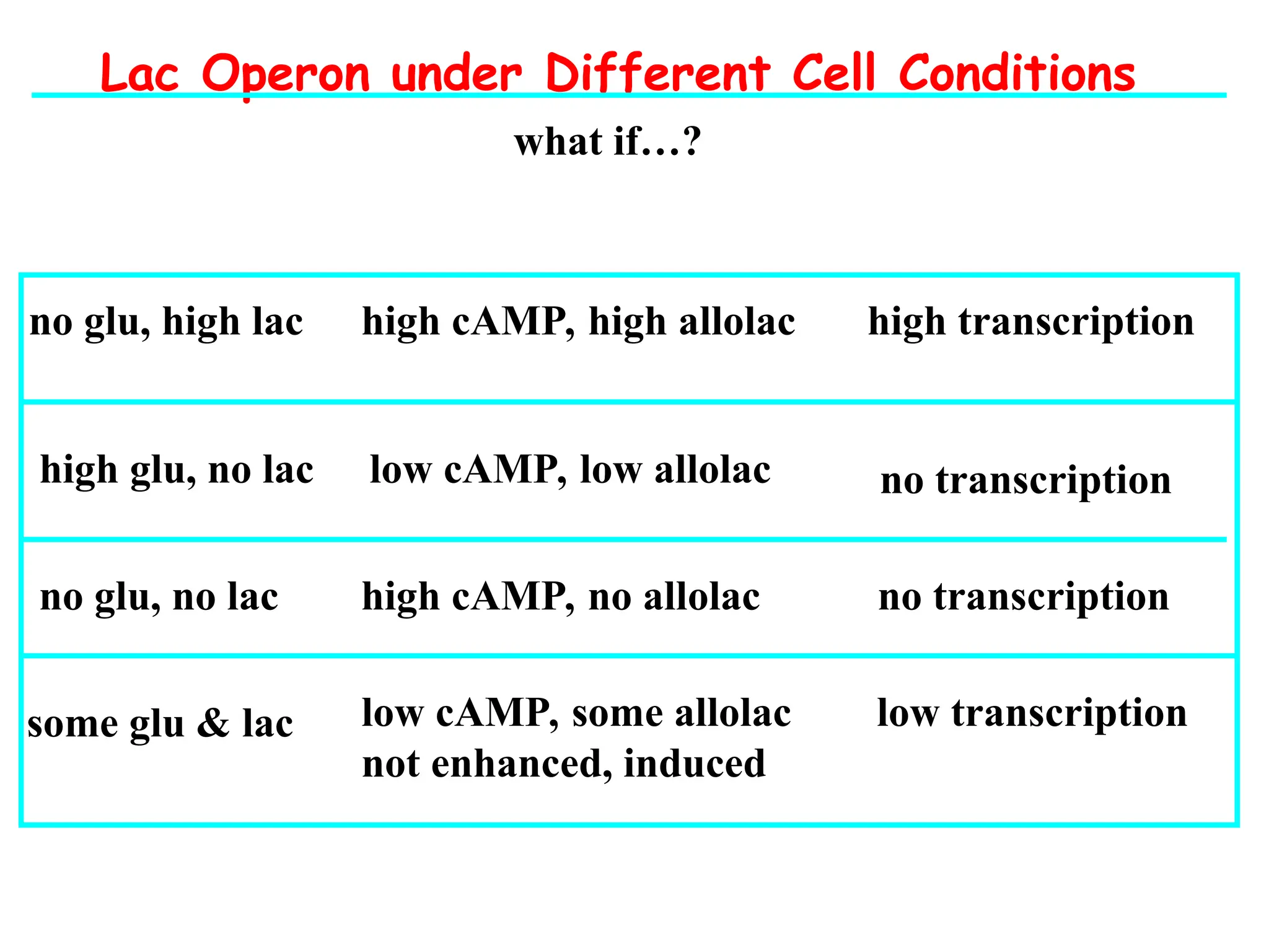 Lac operon, trp operon, Operon, structure and regulation | PPT