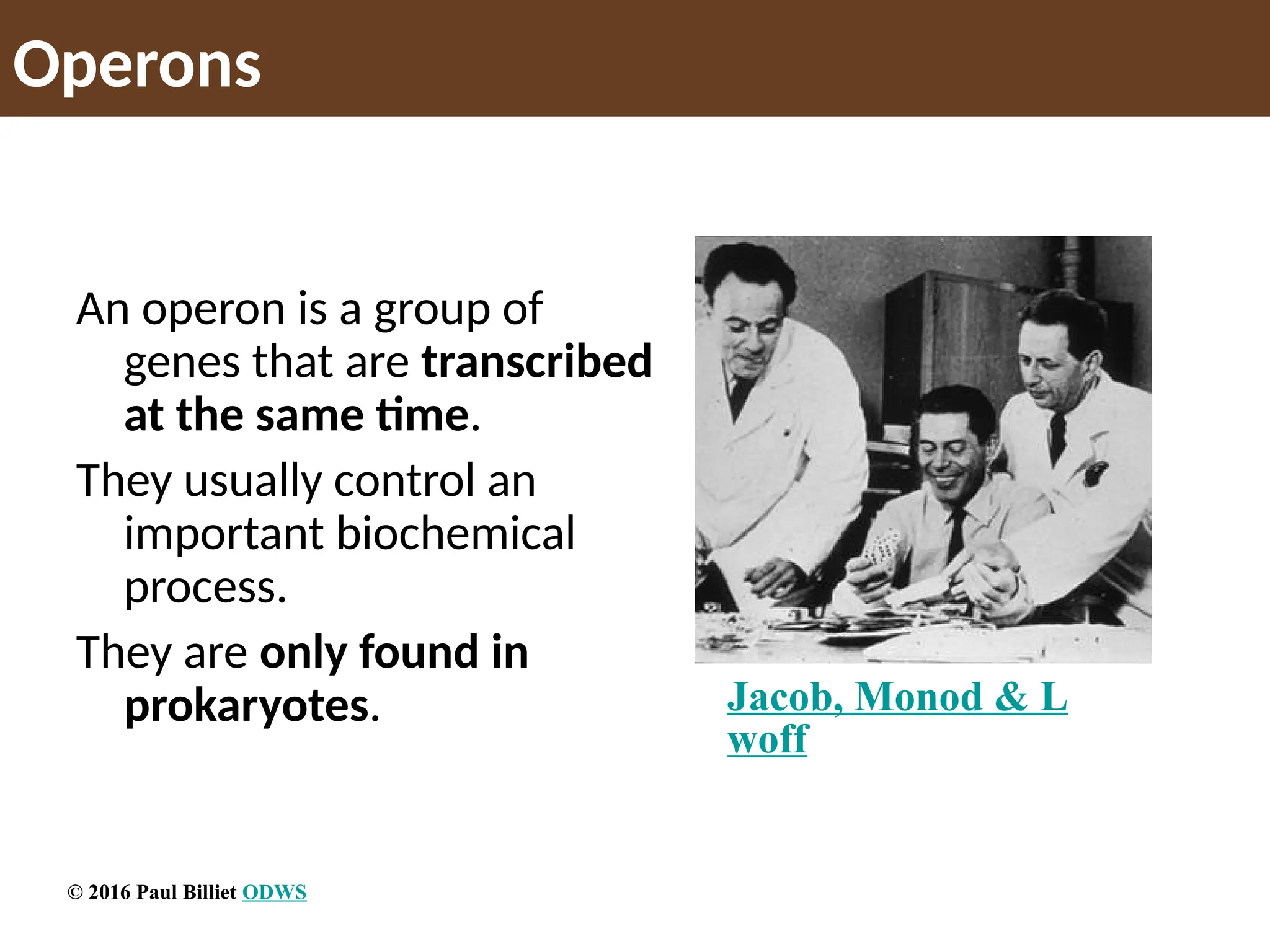 Lac operon, trp operon, Operon, structure and regulation | PPT