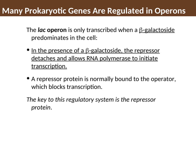 Lac operon, trp operon, Operon, structure and regulation | PPT