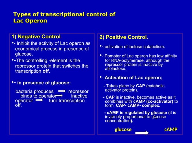 Lac operon, trp operon, Operon, structure and regulation | PPT