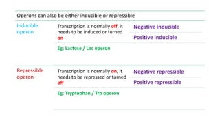 Introduction to Operon - Lac operon.pdf