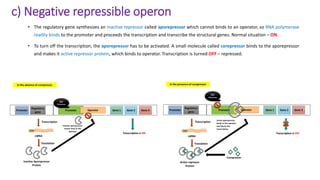Introduction to Operon - Lac operon.pdf