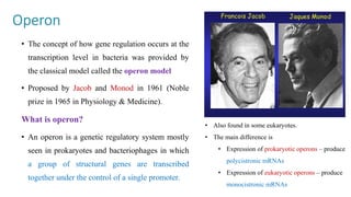 Introduction to Operon - Lac operon.pdf