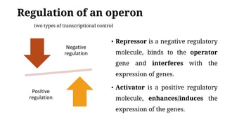 Introduction to Operon - Lac operon.pdf