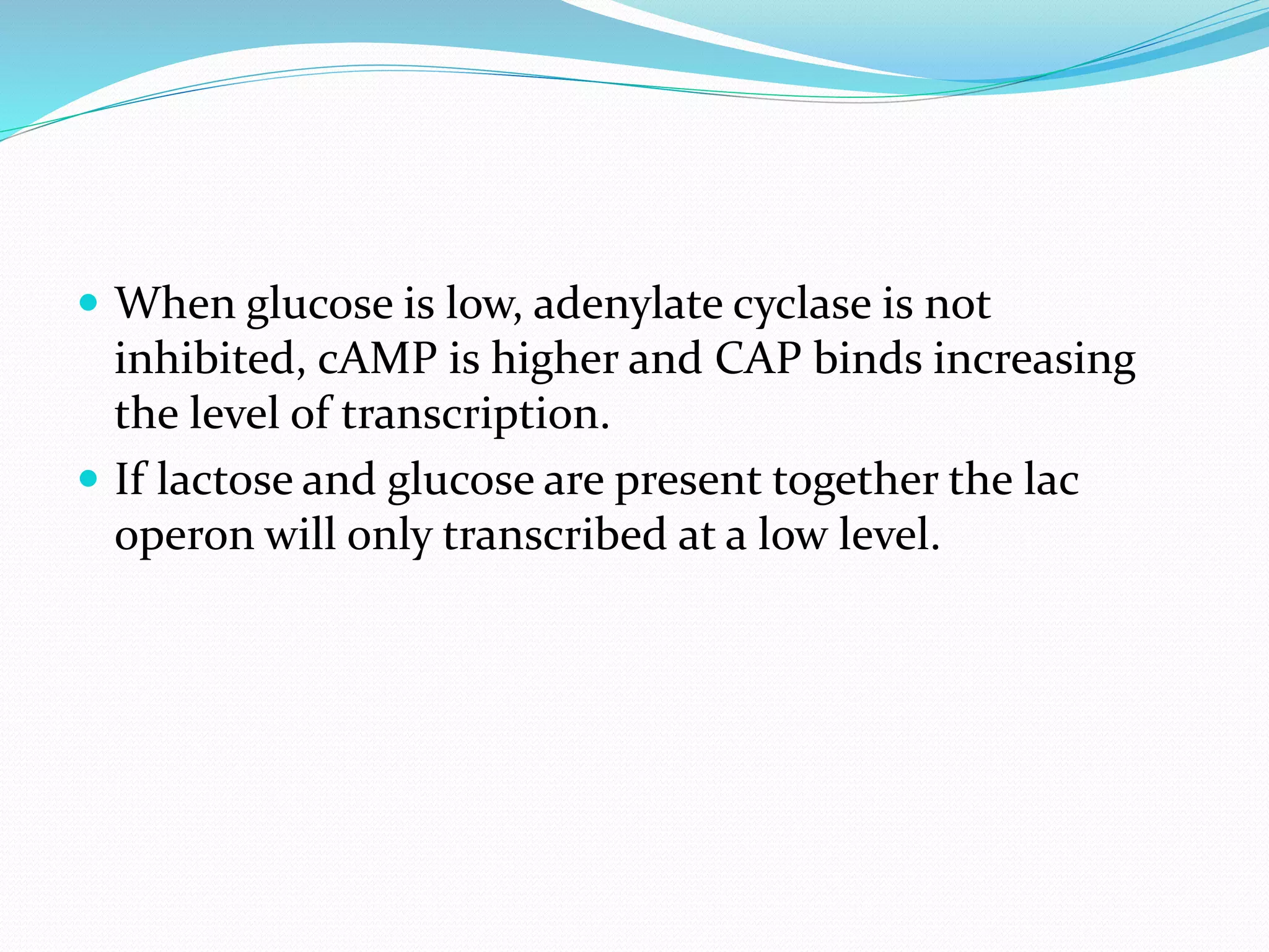 Operon | PPTX