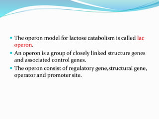 Operon | PPTX