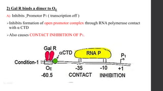 Galactose operon and Histidine operon | PPTX