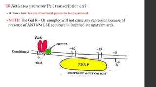 Galactose operon and Histidine operon | PPTX