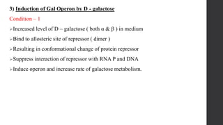 Galactose operon and Histidine operon | PPTX