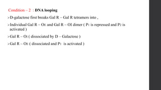 Galactose operon and Histidine operon | PPTX