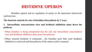 Galactose operon and Histidine operon | PPTX