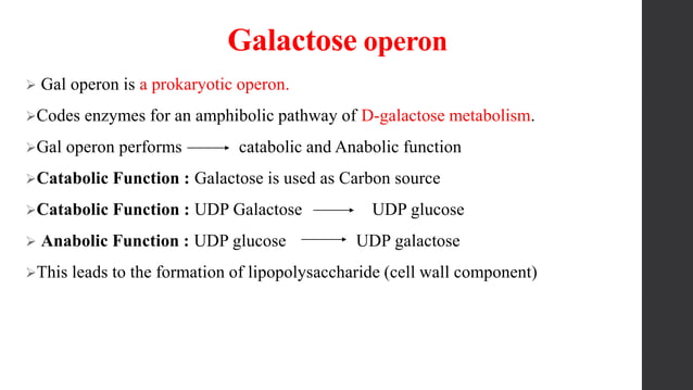 Galactose operon and Histidine operon | PPTX | Chemistry | Science