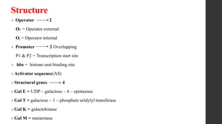 Galactose operon and Histidine operon | PPTX