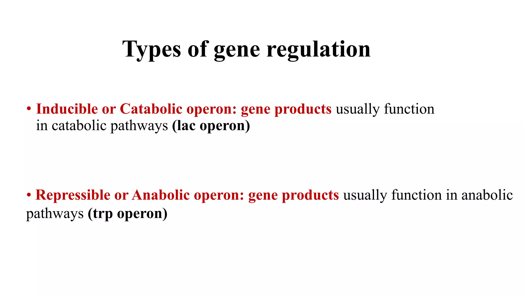 Operon concept.pdf