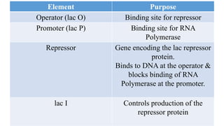 Operon concept.pdf