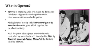Operon concept.pdf