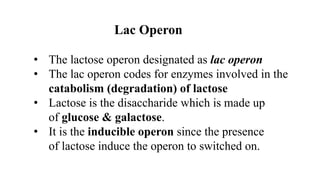 Operon concept.pdf