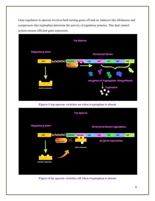 Regulation of gene expression- Operon concept | PDF