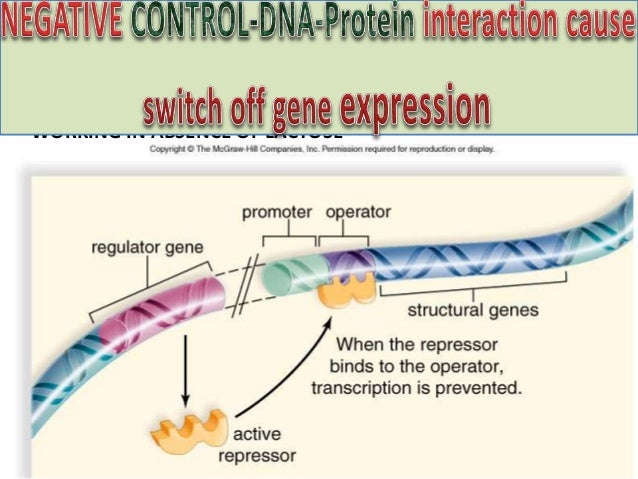 Operon Concept