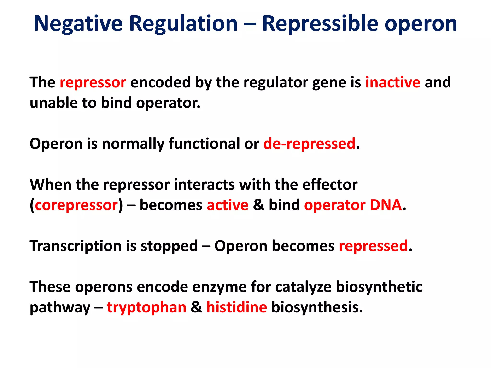 Operon Concept | PPSX
