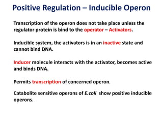 Operon Concept | PPSX