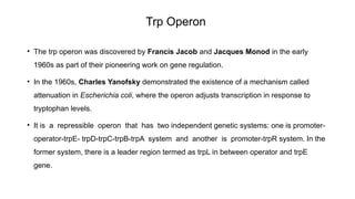 Operon System with oveview of lac operon, trp operon, ara operon | PPT