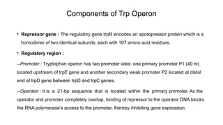 Operon System with oveview of lac operon, trp operon, ara operon | PPT