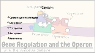 Operon System with oveview of lac operon, trp operon, ara operon | PPT