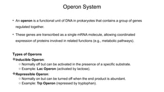 Operon System with oveview of lac operon, trp operon, ara operon | PPT