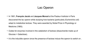 Operon System with oveview of lac operon, trp operon, ara operon | PPT